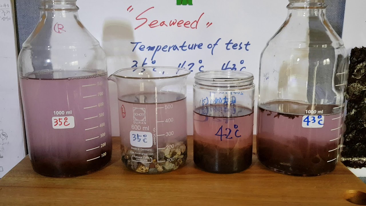 The Dried Red Algae is Alive at 43 degrees:New Education for Students ...