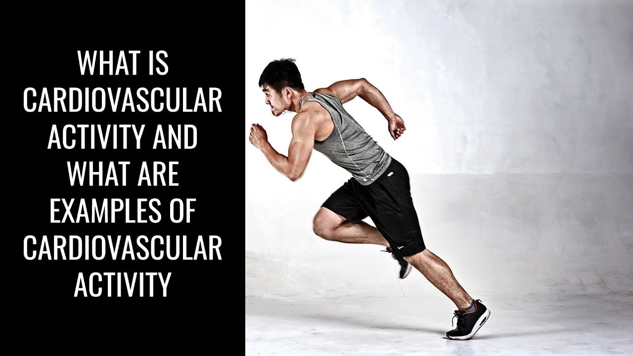 What is Cardiovascular Activity and What Are Examples of Cardiovascular ...