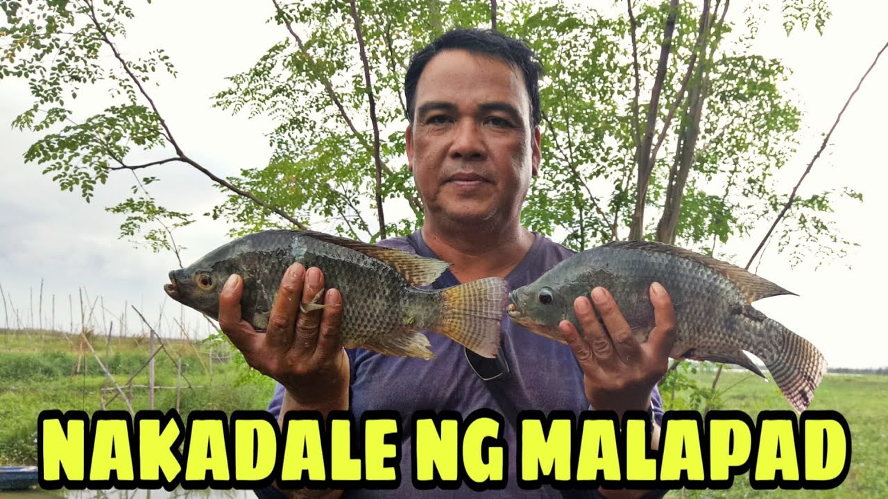 TIKSAY FISHING | MALAPAD NA TILAPIA AT MAY BONUS PANG BANGUS - YouTube