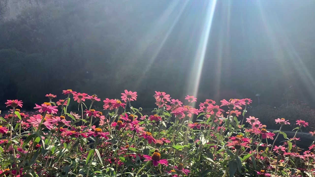 October 29, 2019 - YouTube