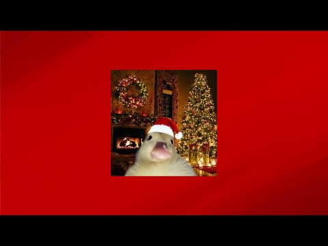 Christmas Playlist 🎄