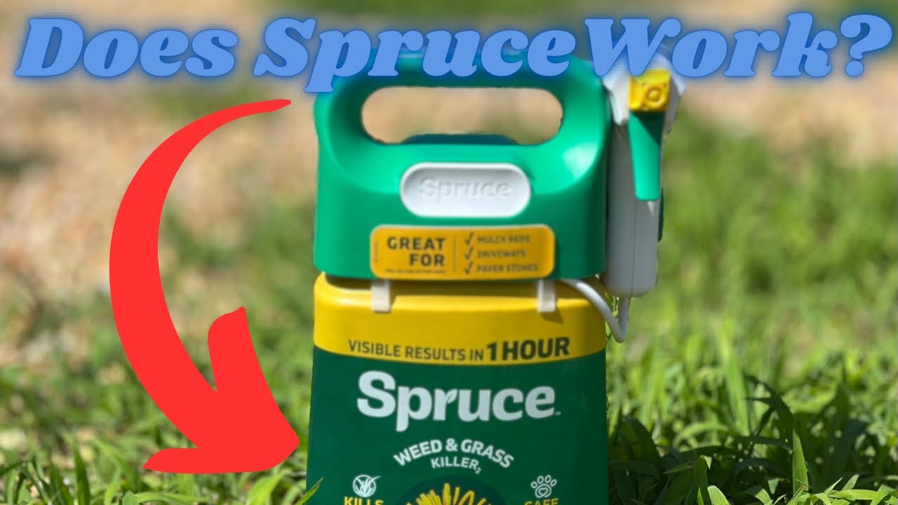 Spruce Weed and Grass Killer | Does it Work? - YouTube