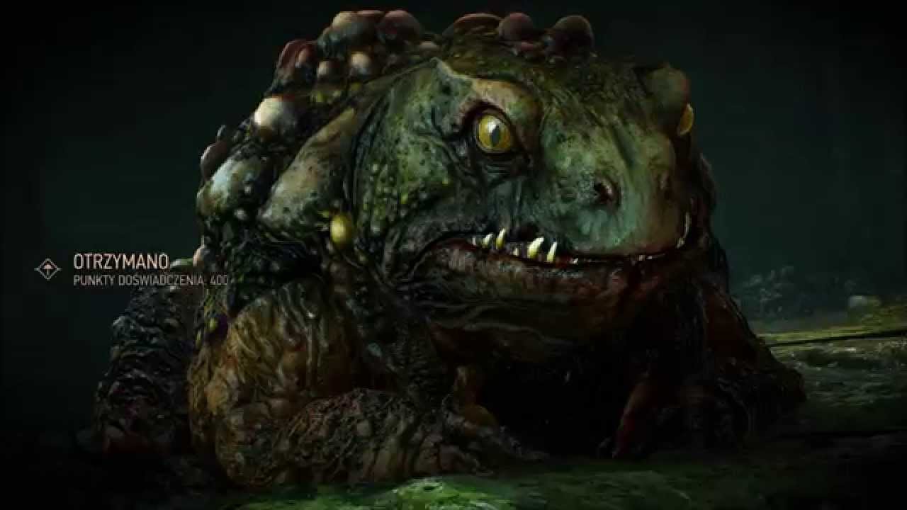Witcher 3 Hearts of Stone - Toad Prince - YouTube