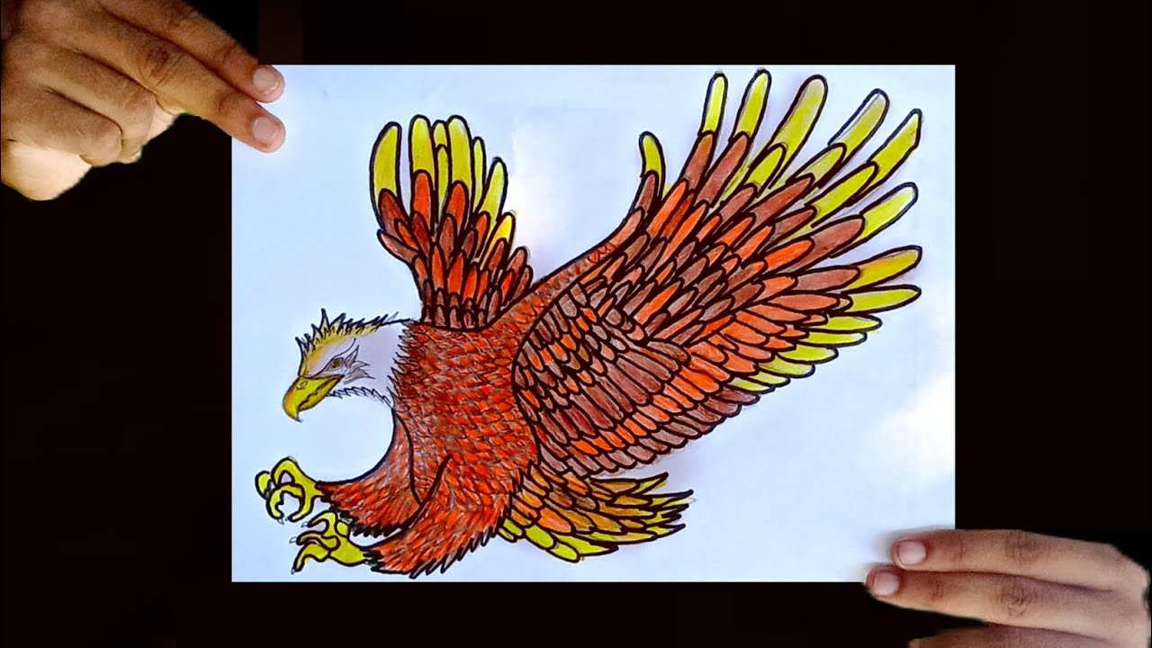 Master the Art of Drawing Eagles with These Expert Tips 🦅 - YouTube