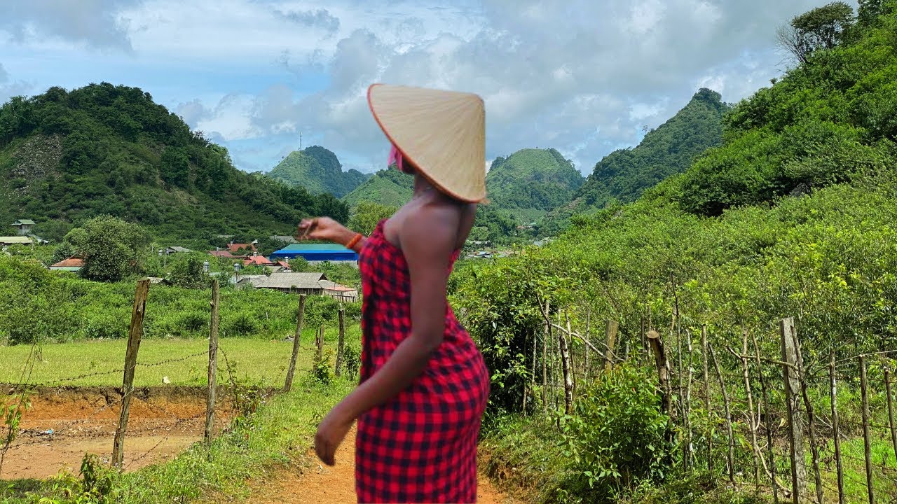My Daily Life in The Rural Highlands of Vietnam (#291 ) - YouTube