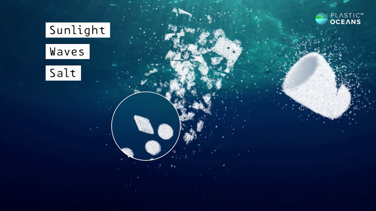 What are Microplastics and Gyres? - YouTube