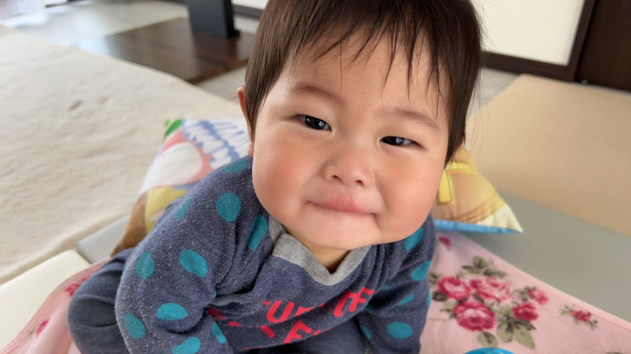 【生後270日】僕大きくなったよ👶🏻LIVE配信 - YouTube