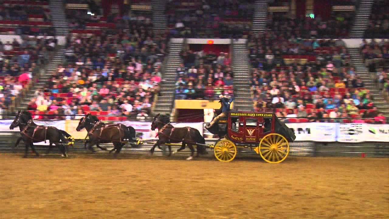 Midwest Horse Fair 2013 Promo - YouTube