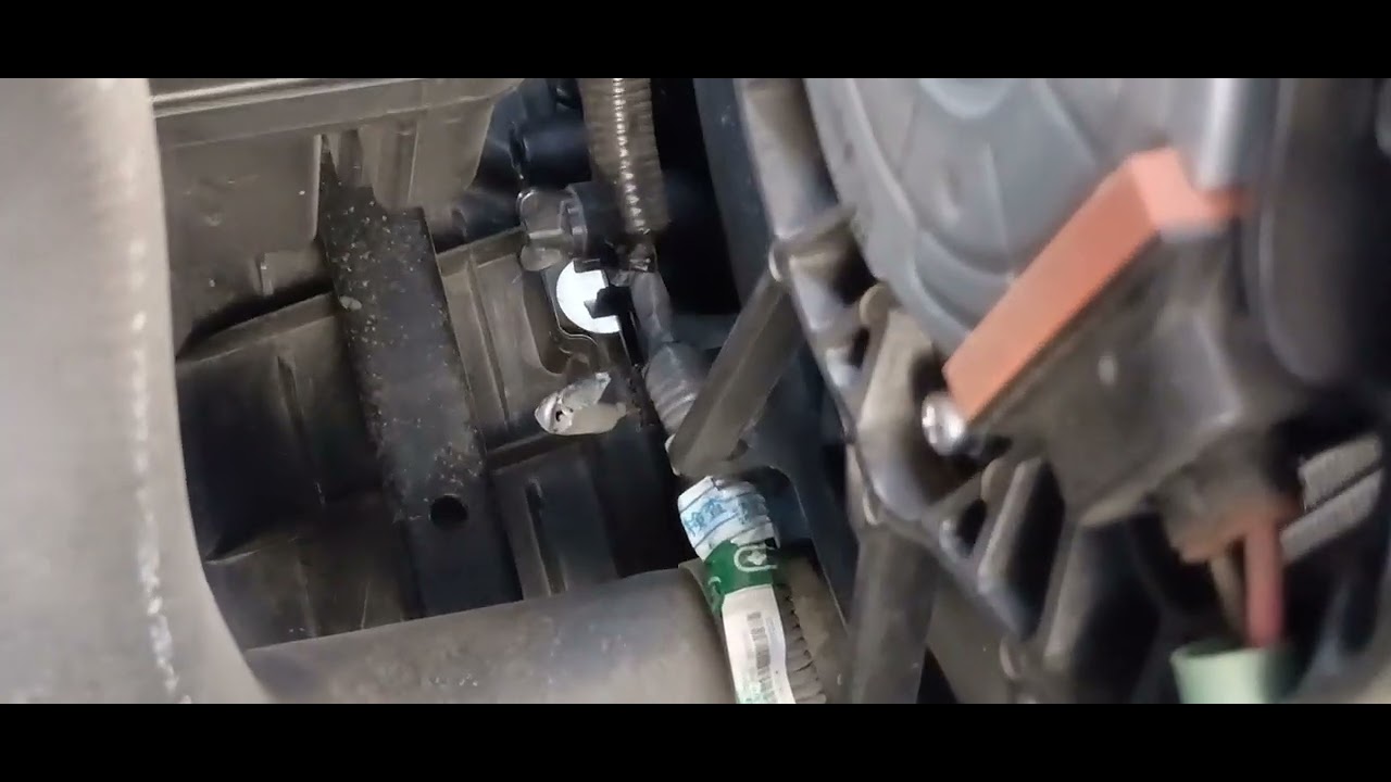 found the second rodent damaged car problem - YouTube