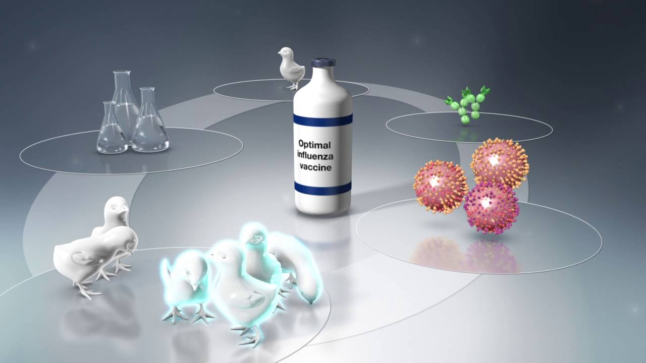 BoehringerIngelheim Volvac BEST AI ND ENGLISH - YouTube