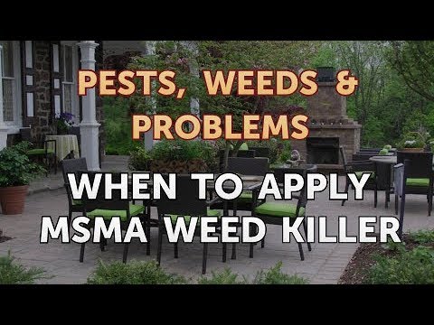 Will Msma Kill Broadleaf Weeds