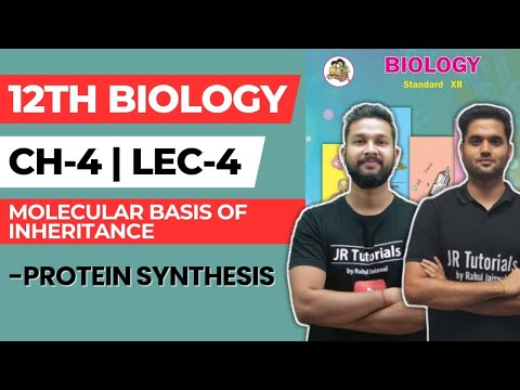 12th Biology | Chapter 4 | Molecular Basis of Inheritance | Lecture 4 ...