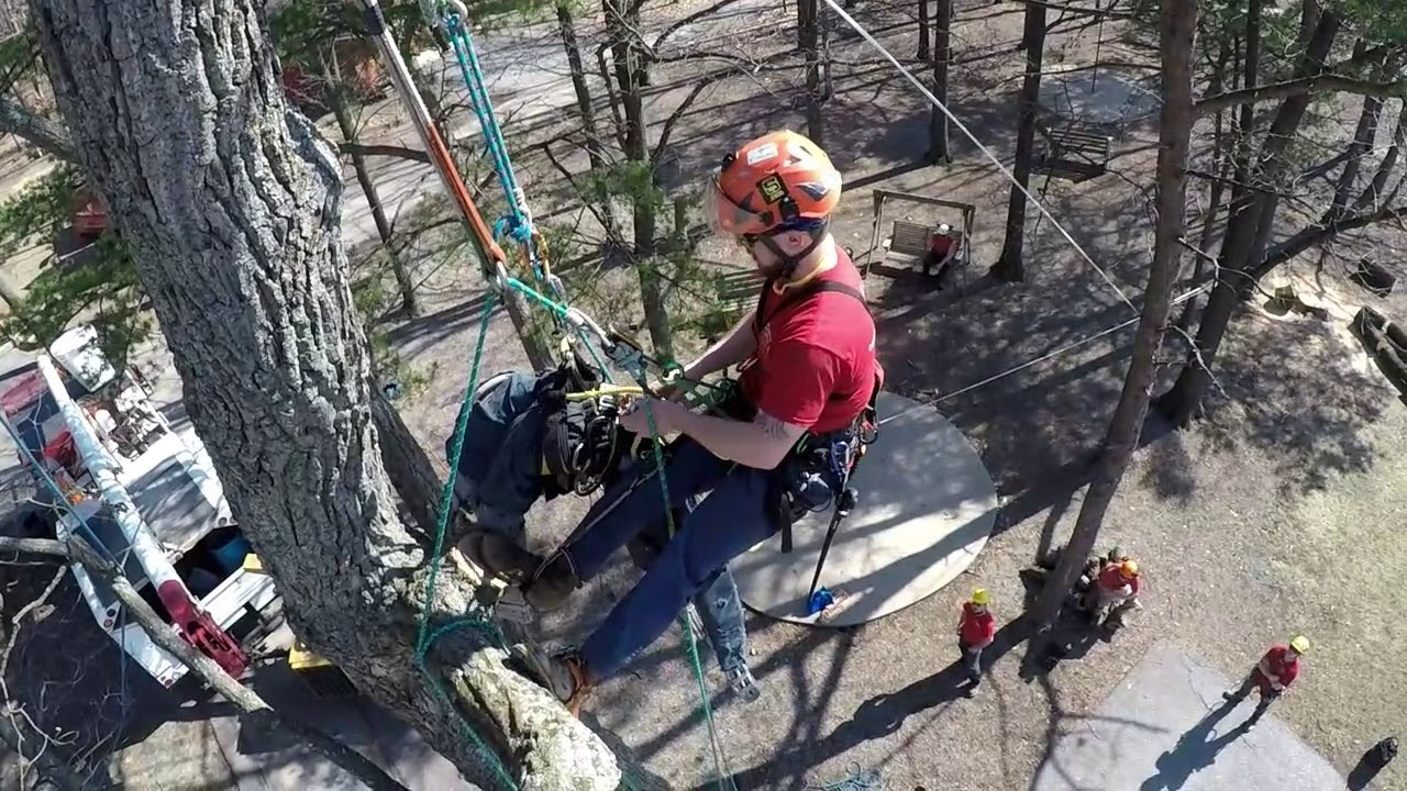 Aerial Rescue 2017 - YouTube