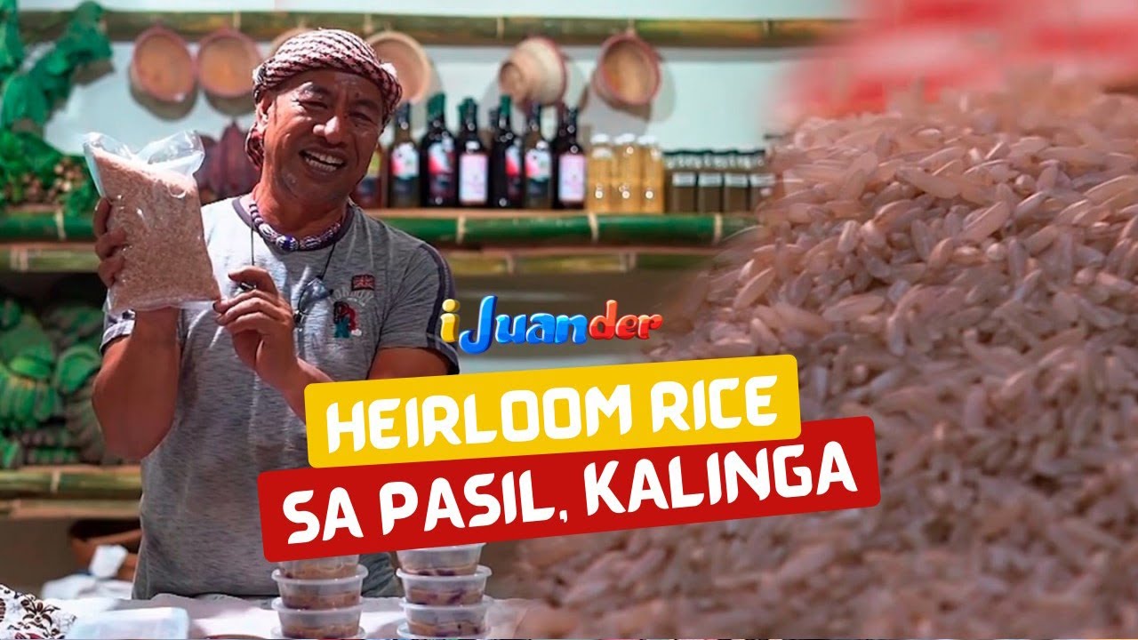 Heirloom rice sa Pasil, Kalinga | I Juander - YouTube