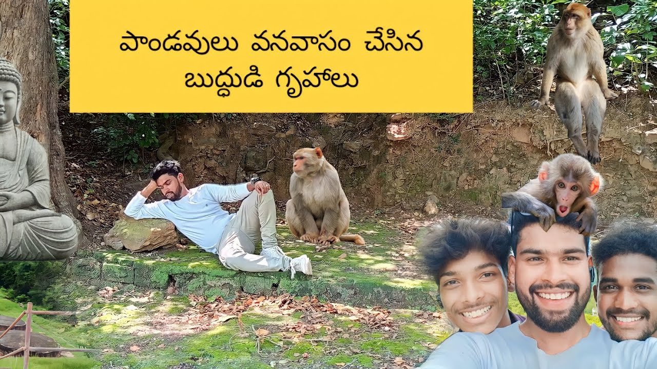 Guntupalli Buddhist Caves | Historical place in jeelakarragudem ...