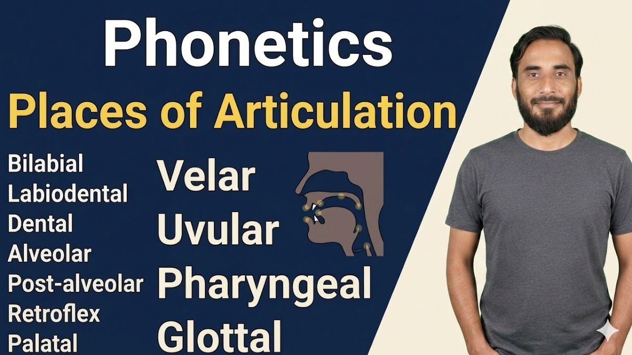 Phonetics | Places of Articulation Explained with Examples - YouTube