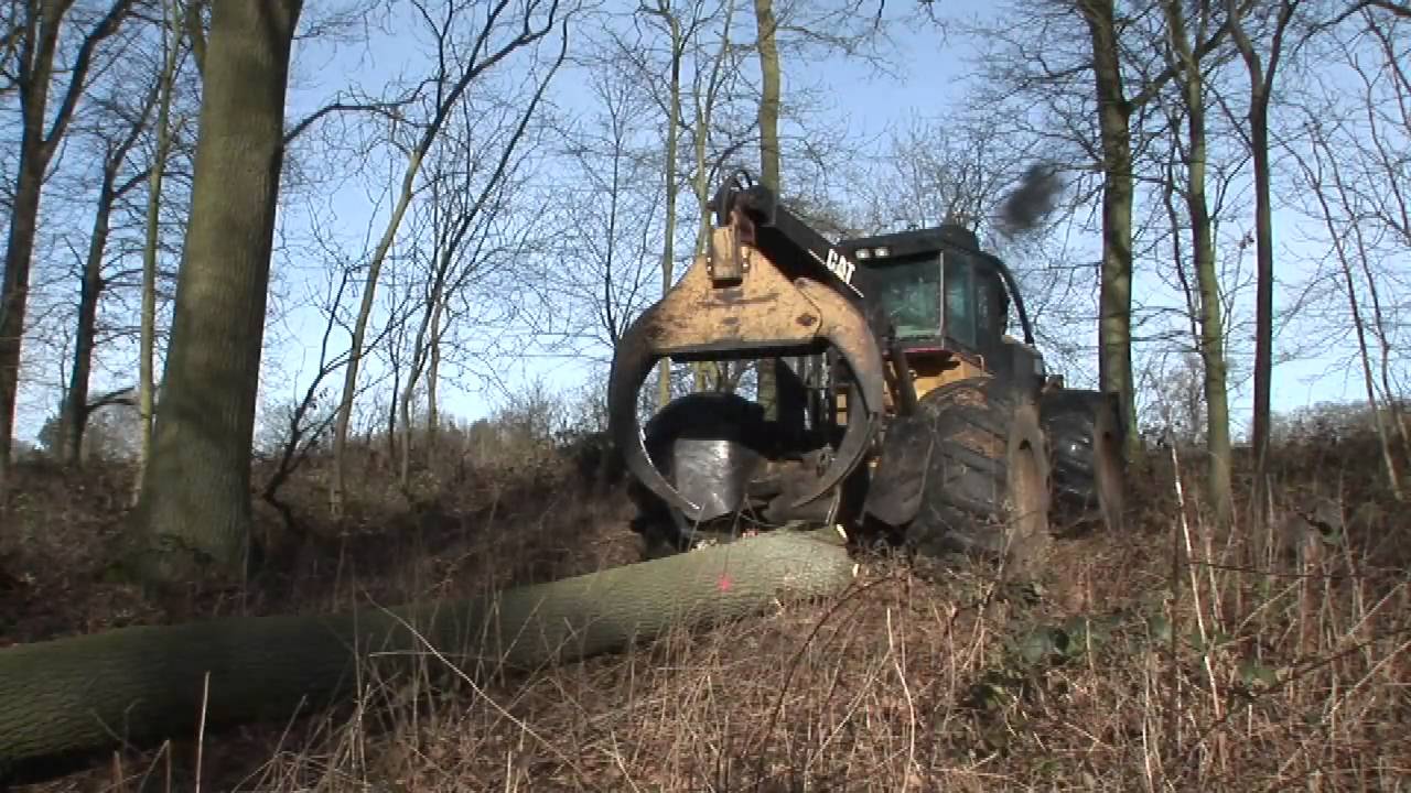 Oak Timber Video - YouTube