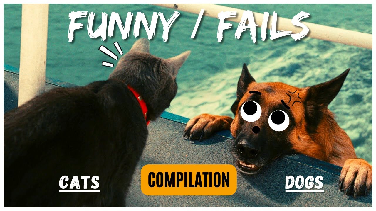 Dogs Funny Fails VS Cats Funny Fails Compilation | MUST WATCH!!! - YouTube