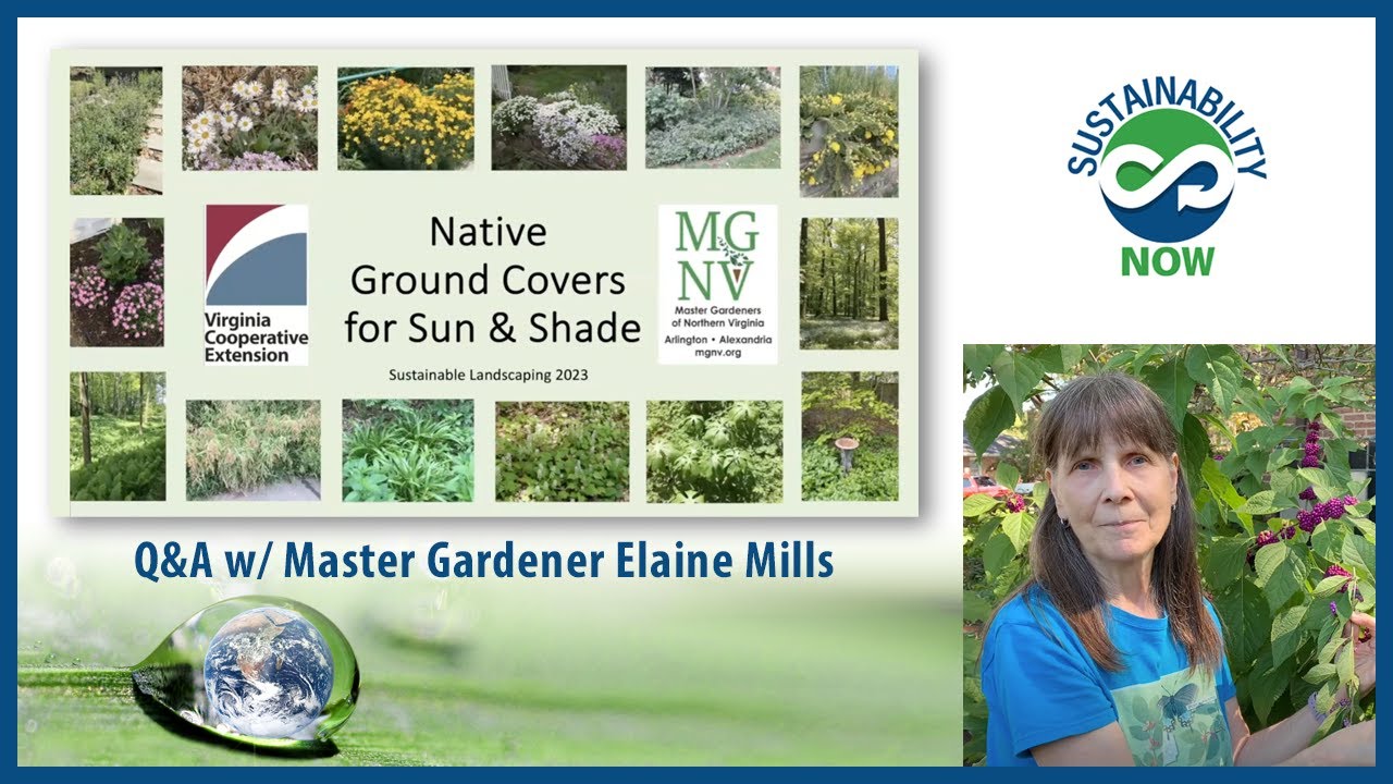 Native Ground Covers Movie Night - YouTube