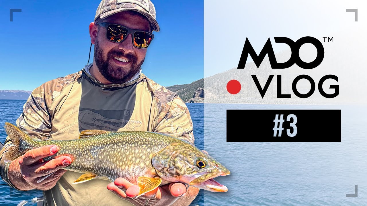 LAKE TAHOE Jigging 'Mackinaw' Lake Trout + Wild Brown Trout! - MDO Vlog ...