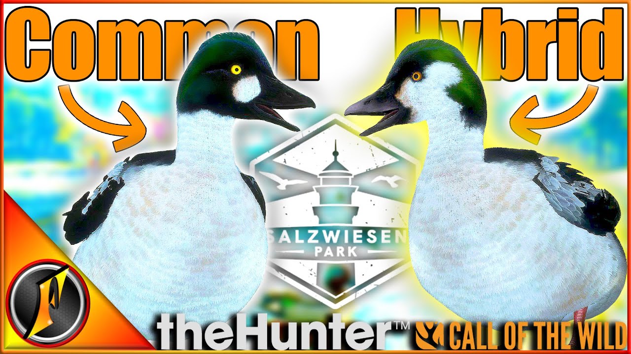 We Got ANOTHER CRAZY RARE Duck! | Hybrid Goldeneye in Call of the Wild ...