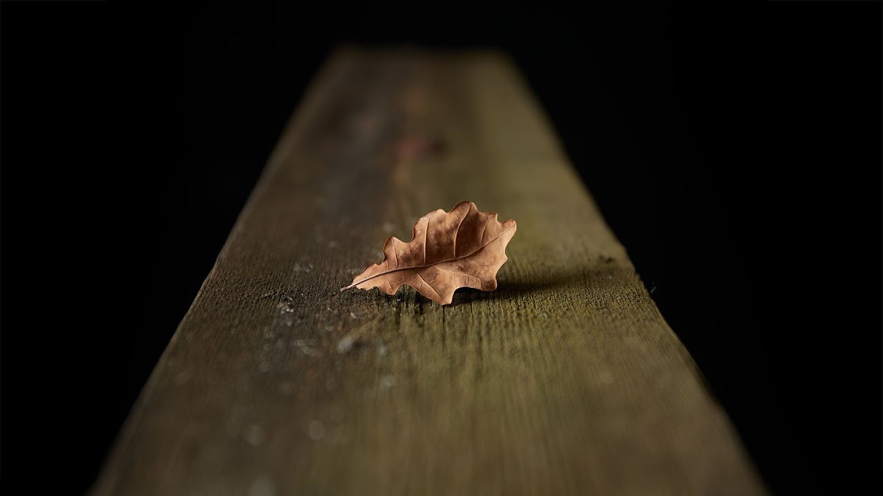 Selective focus still life photography. - YouTube