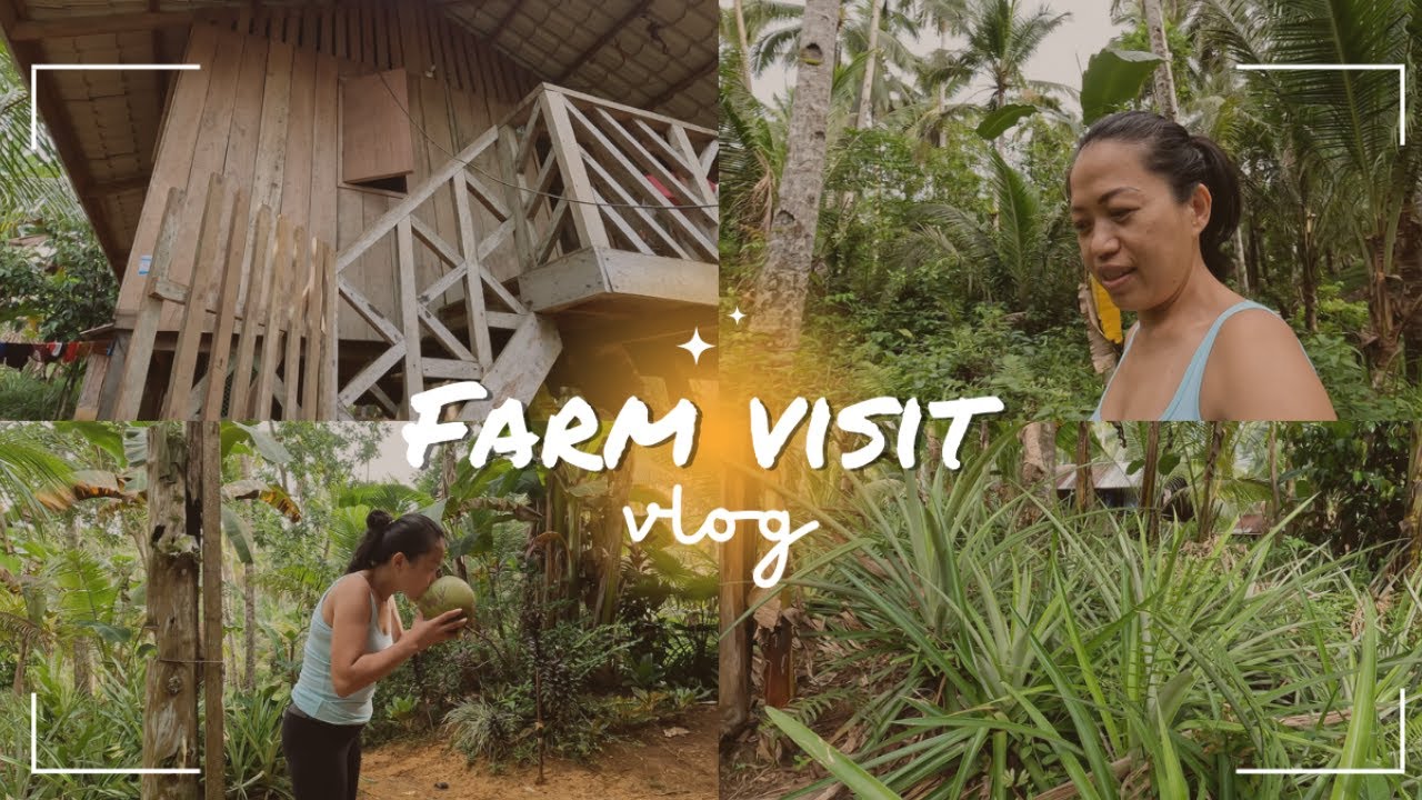Witness the Authentic Beauty of Provincial Life in Surigao del sur - A ...