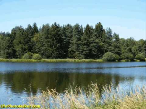 penceresi sarı boya