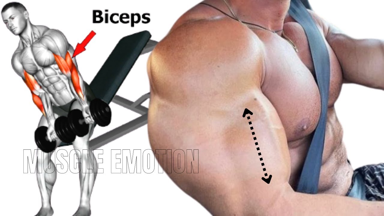 5 BEST BICEPS WORKOUT AT GYM / SUPER EXERCISES MUSCULATION BICEPS - YouTube