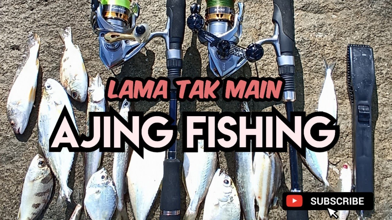 Santai lama tak ON!! | Ajing Fishing. Fishing with a new rod - YouTube