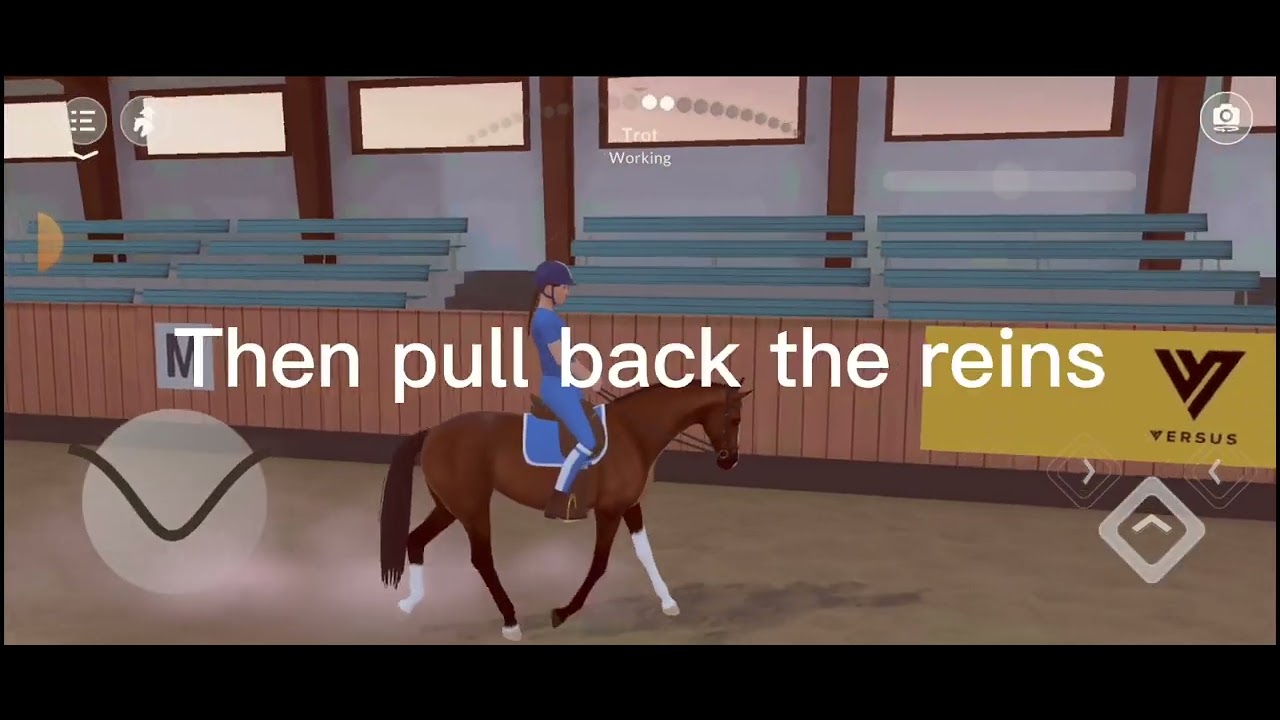How to do collected trot | ETG - YouTube