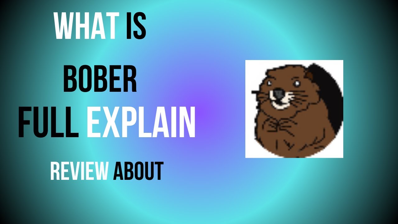 What is BOBER ? ( BOBER ) review about BOBER. - YouTube