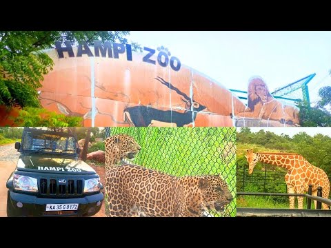 Hampi Zoo | Shri Atal Bihari Vajpayee Zoological Park || - YouTube