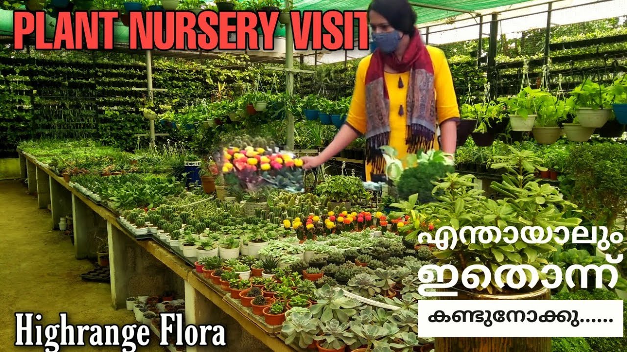 | Plant Nursery Visit | - YouTube