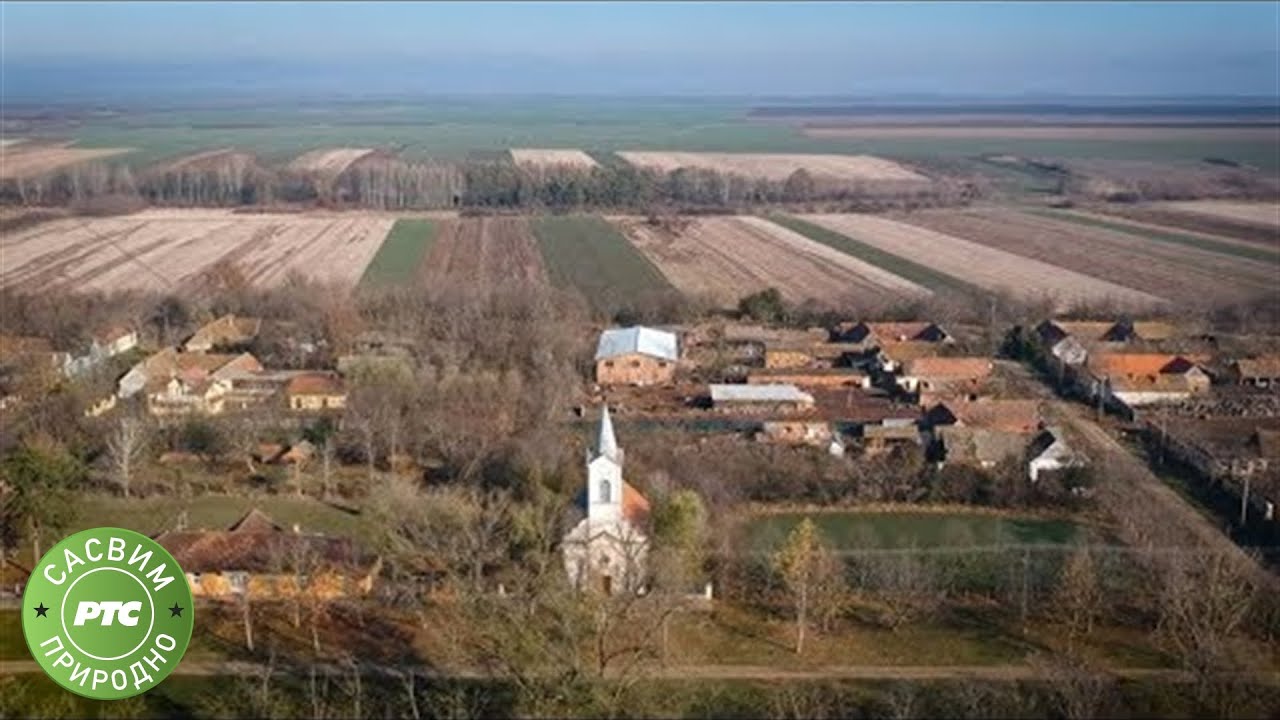 Sasvim prirodno: Česi u Srbiji, prvi deo (Jovan Memedović) - YouTube