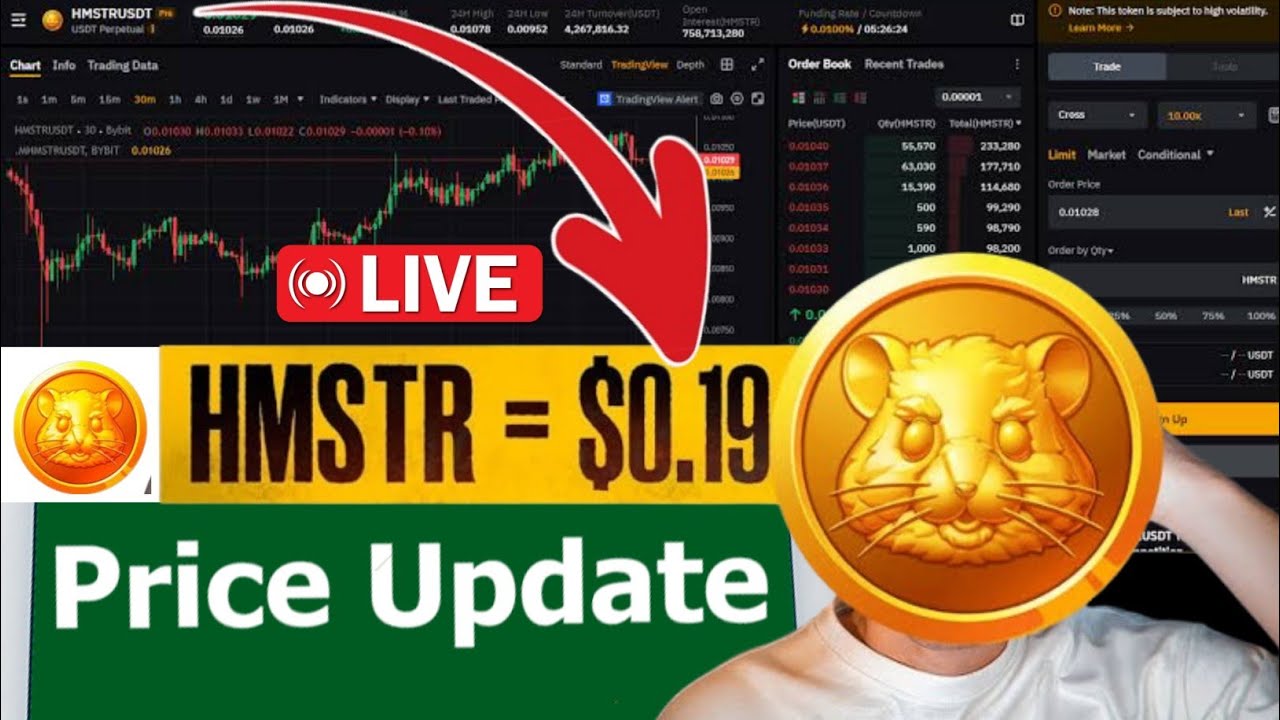 Hamster token price update !! - YouTube