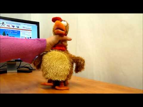 Crazy chicken song japanese - gaswdrug