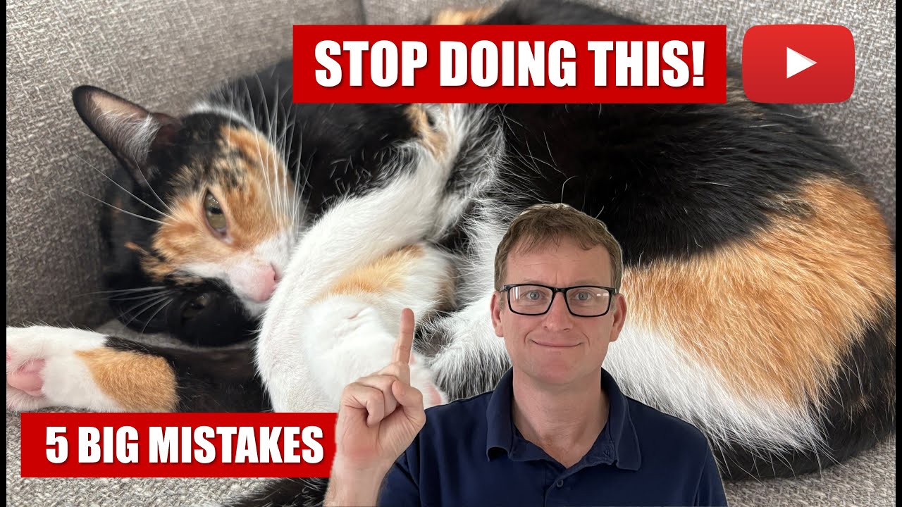 5 Cat Behavior Mistakes You’re Probably Making 🐾 (And How to Fix Them ...