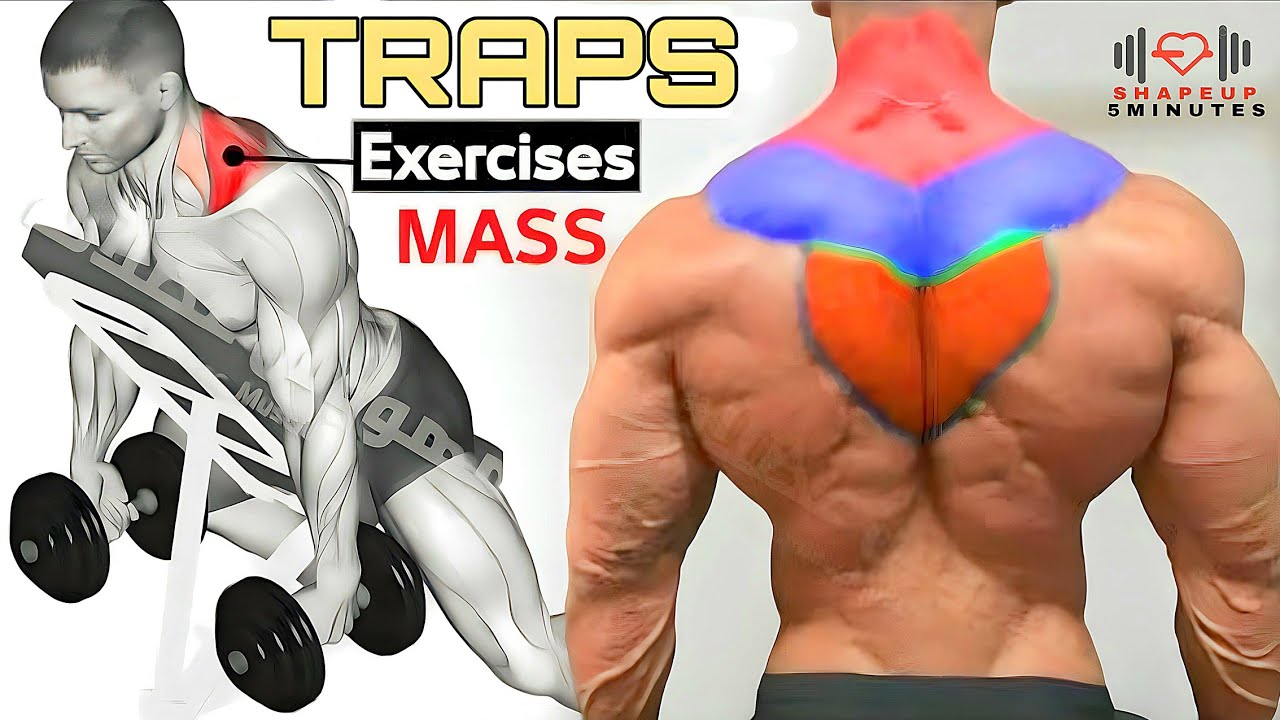 7 Exercises For Bigger Traps | traps best workout - YouTube