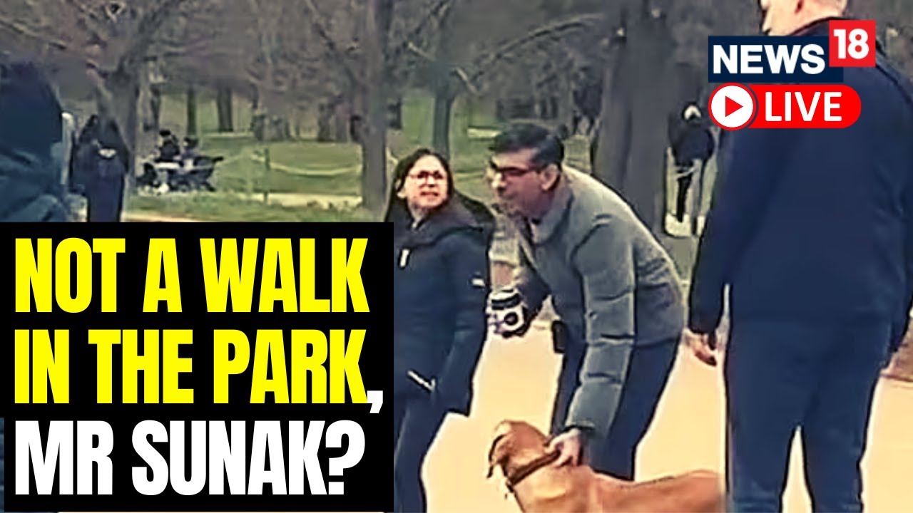 U.K. Prime Minister Rishi Sunak Walks His Dog In Hyde Park Without A ...