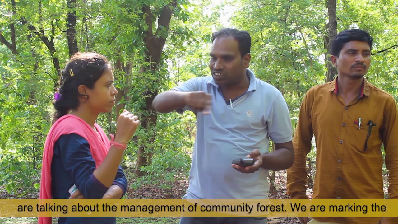 community based forest management - YouTube