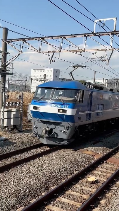 EF210-135 347 [単機] 桃太郎 #ef210桃太郎 2025/1/28 - YouTube