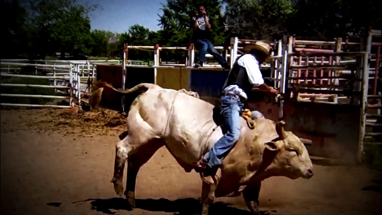 Donald Cerrone / Cowboy / Highlights / by cohors23 - YouTube