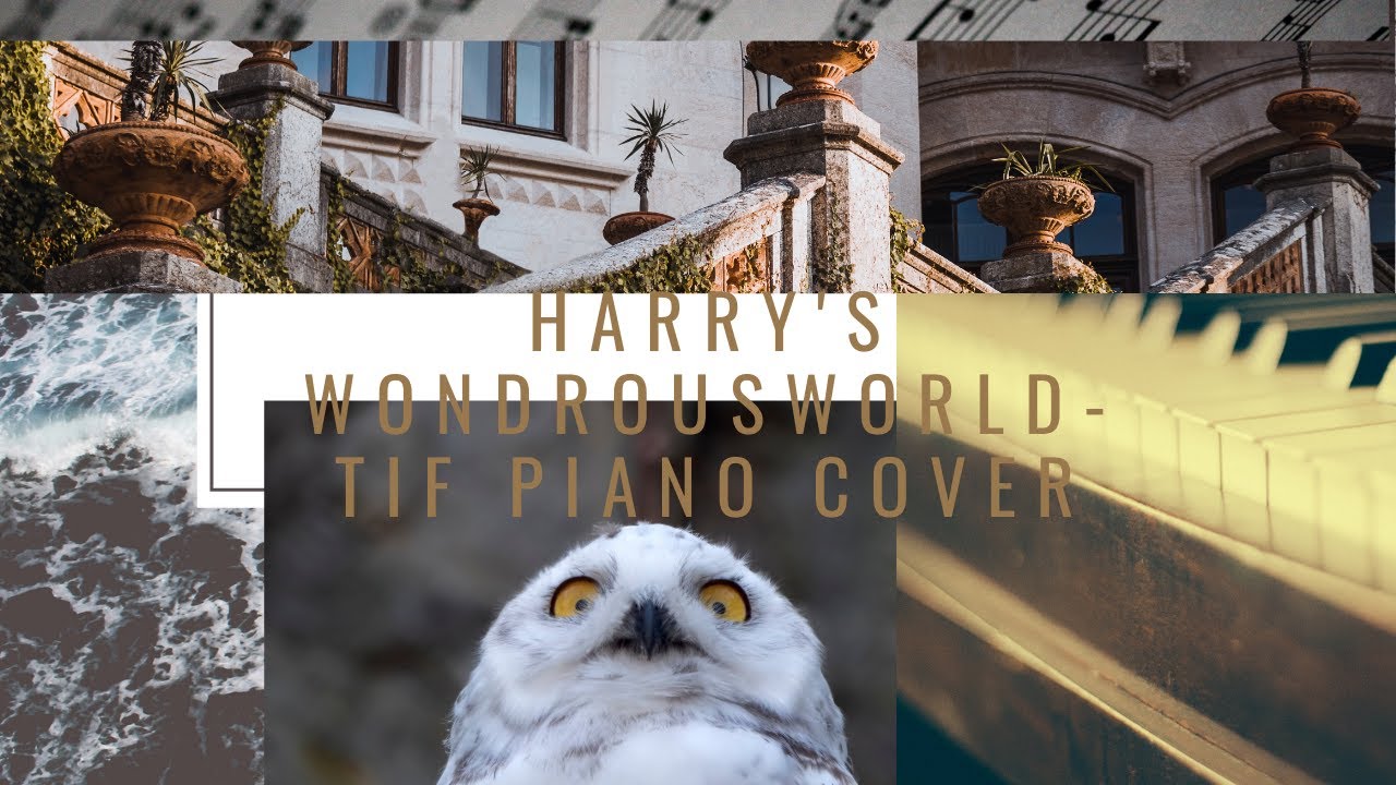 Harry’s Wondrous World-Harry potter TIF Piano cover - YouTube