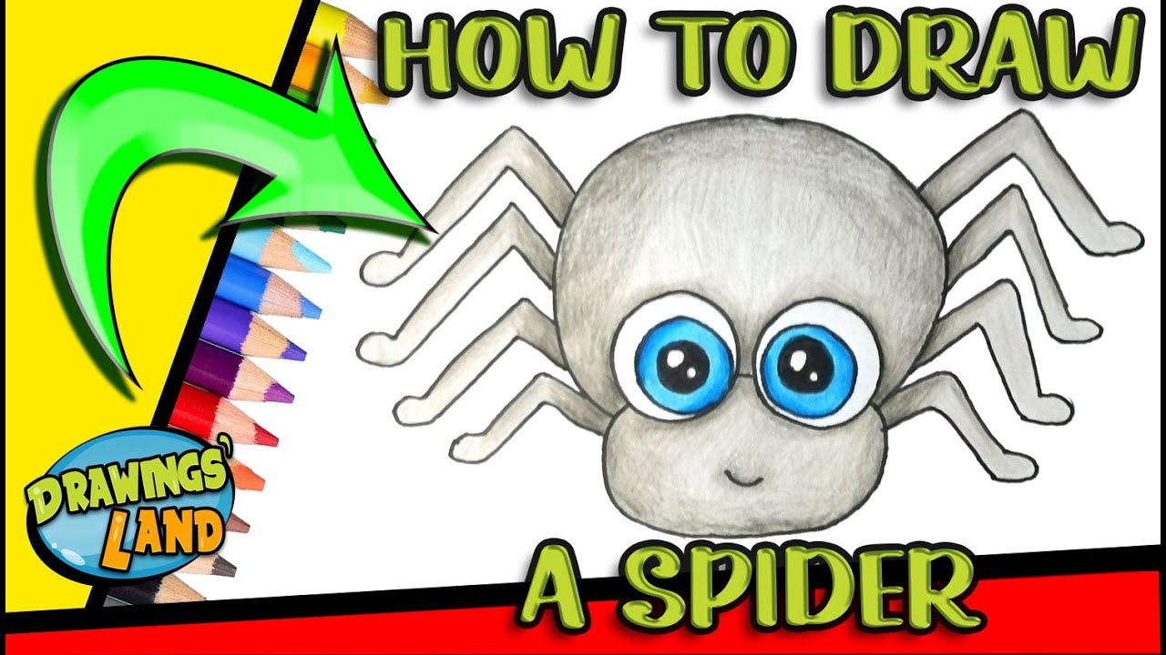 How to Draw a SPIDER Easy Step by Step - YouTube
