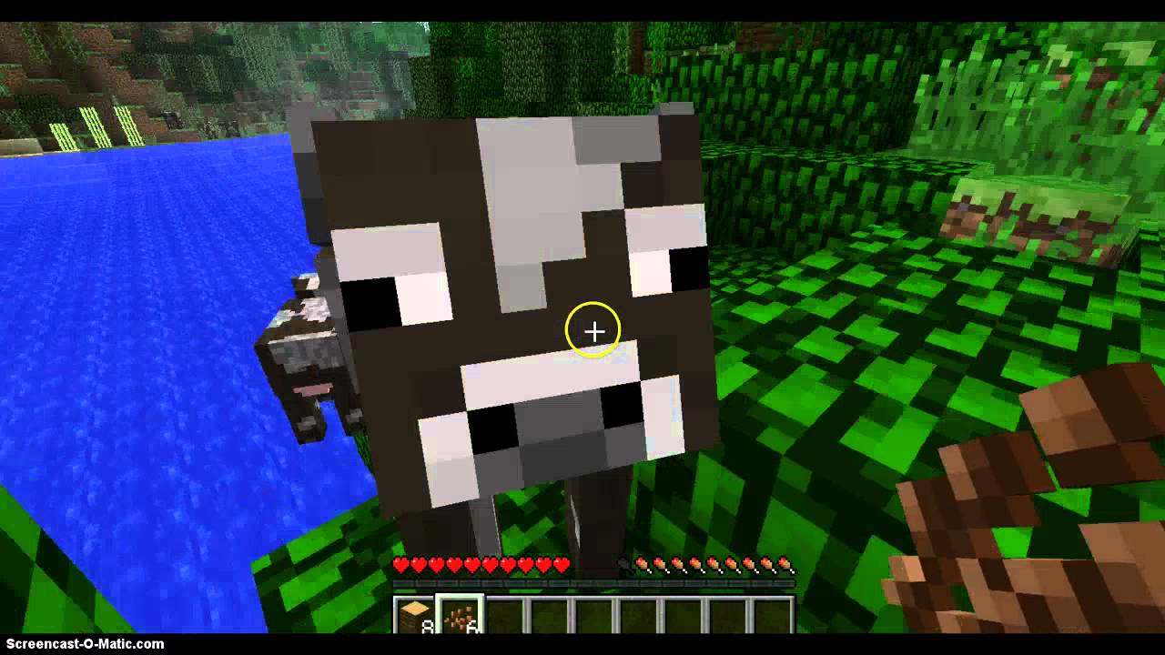 minecraft lets play!Ep1,my dog is in the jungle? - YouTube