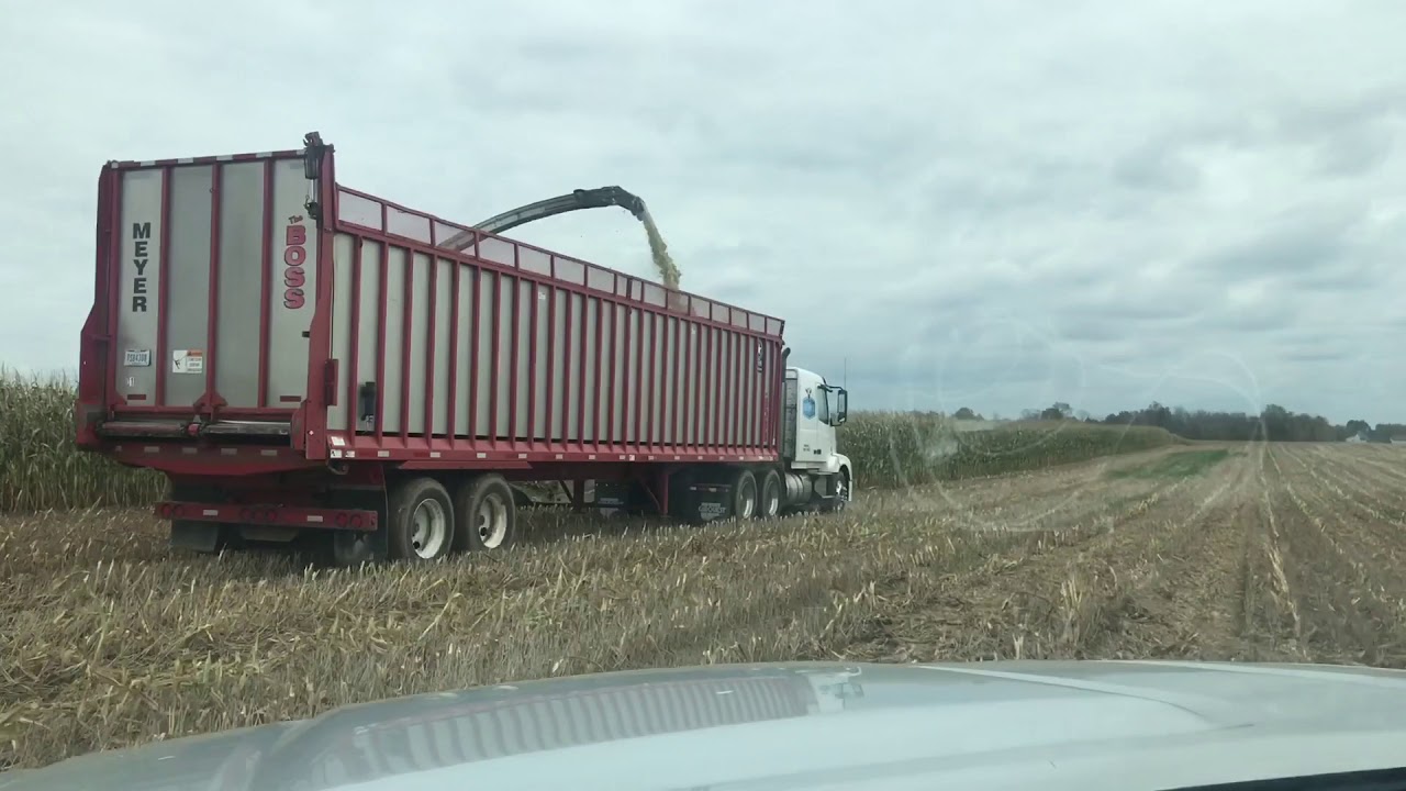 Claas 980 Jaguar chopping double crop corn after wheat 2017 Frankton ...