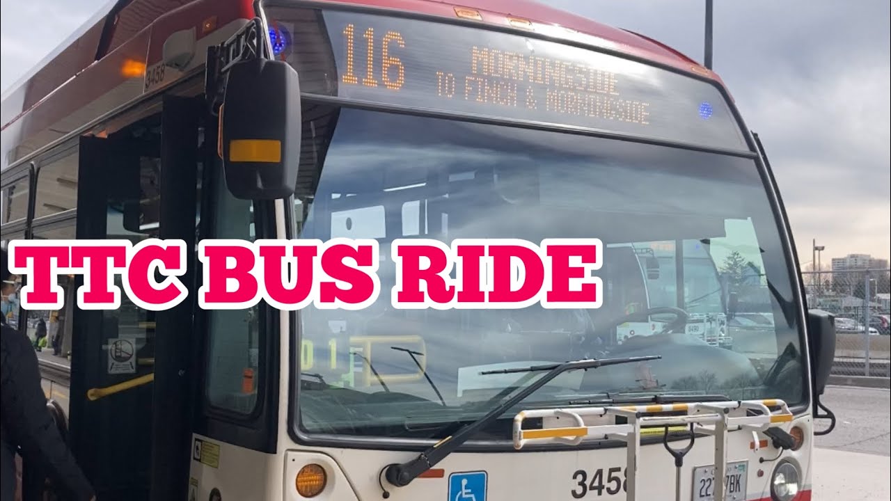 TTC 116 Morningside Bus Adventure: How We Got From Kennedy Stn To ...