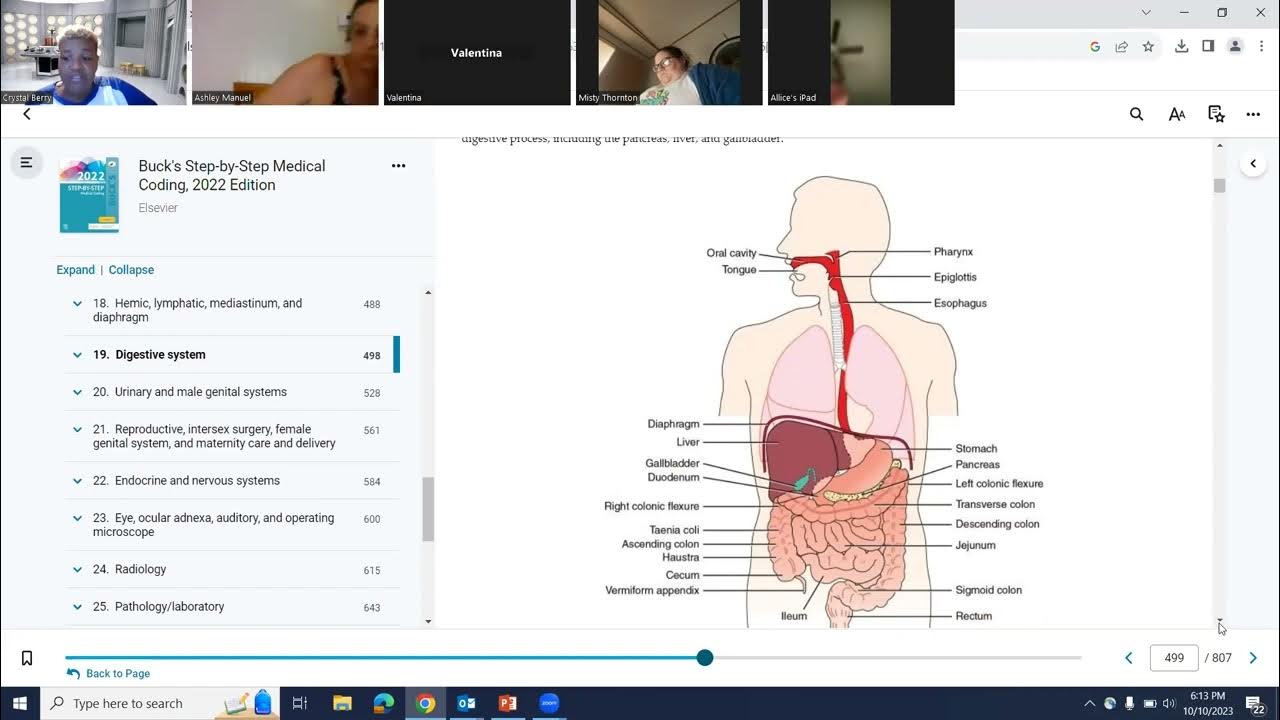 video1758494283 Chapter 19-Digestive System and 20 Urinary/Male Gentalia System-Lecture - YouTube