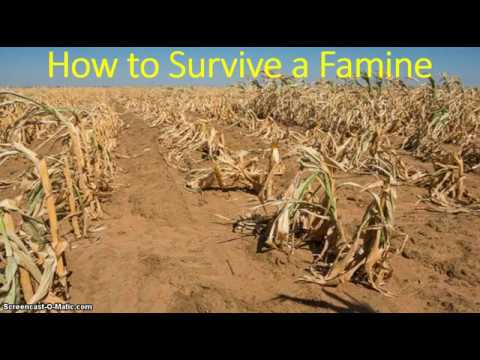 How to Survive a Famine - YouTube